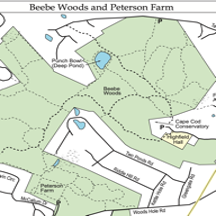 Maps - Cape Cod NEMBA